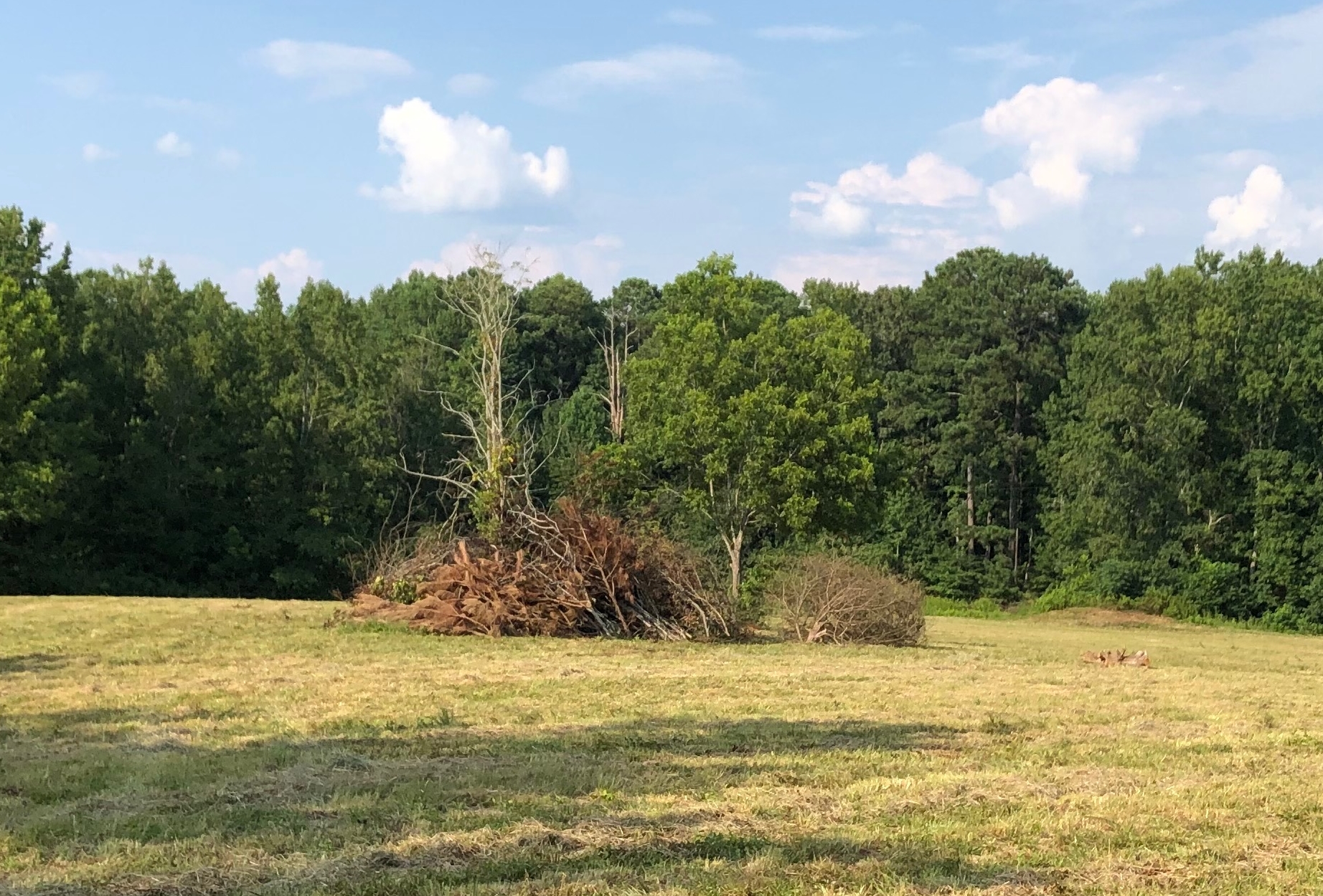 Hell's Front Porch - Wren Farms
