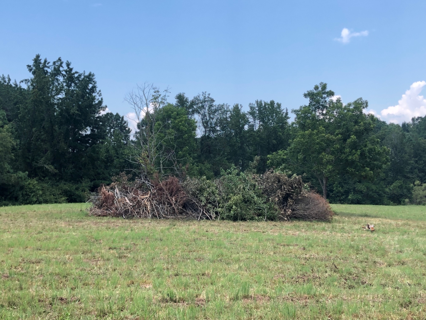 Hell's Front Porch - Wren Farms