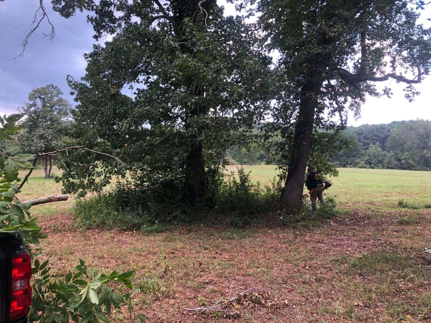 Hell's Front Porch - Wren Farms