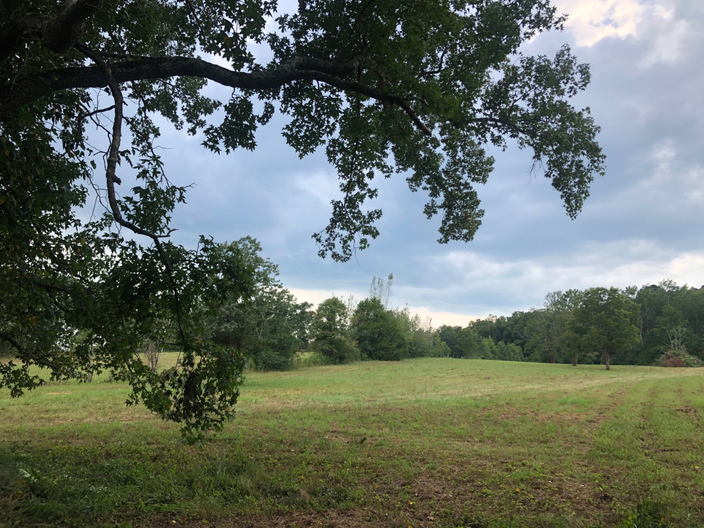 Hell's Front Porch - Wren Farms