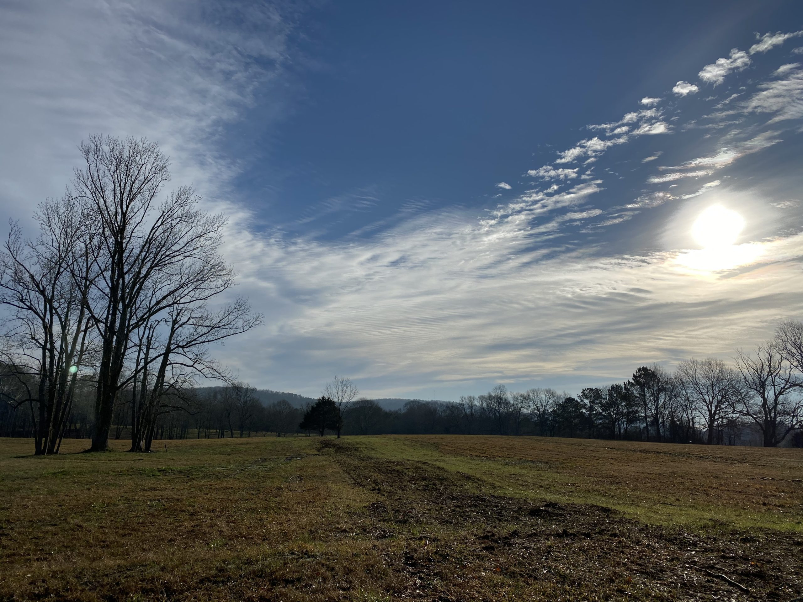 Welcome to the Farm - Wren Farms